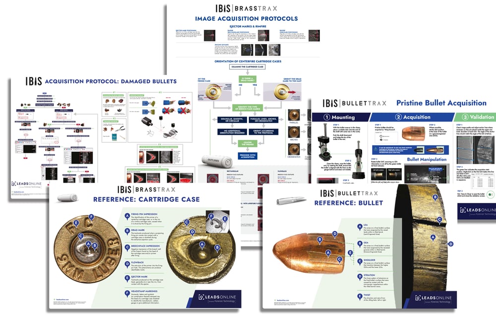 Free Posters & Custom Storyboards for Agencies | LeadsOnline